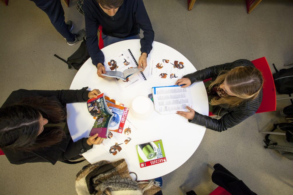 Aide à l'orientation - Faculté des Sciences & Techniques